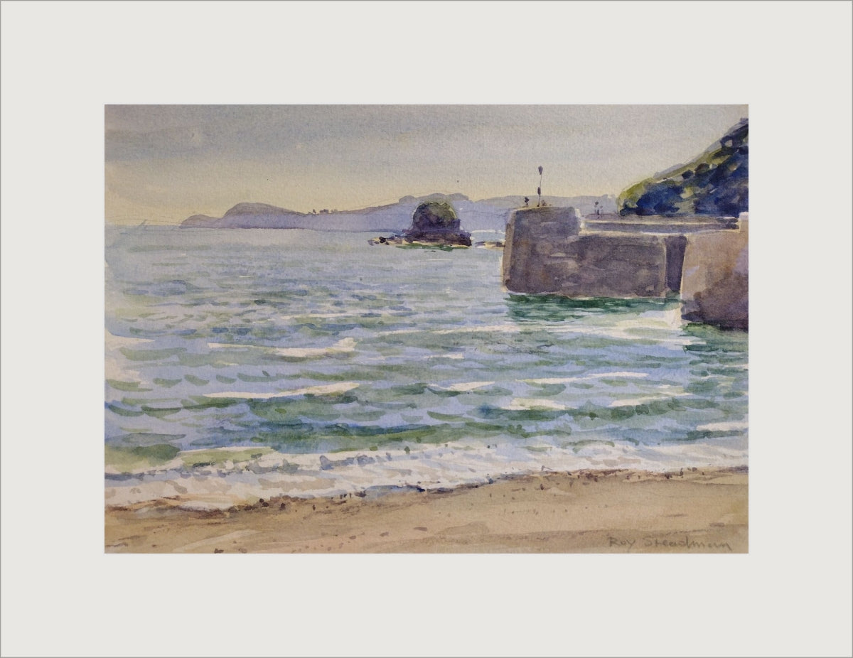 Roy Steadman paintings – Atishoo Gallery