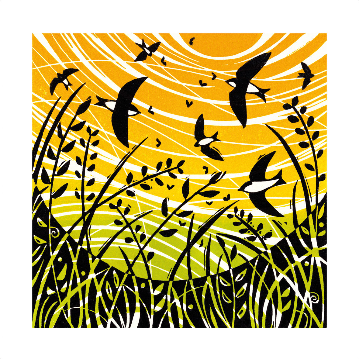 Feeding Frenzy, Manda Beeching Card – Atishoo Gallery