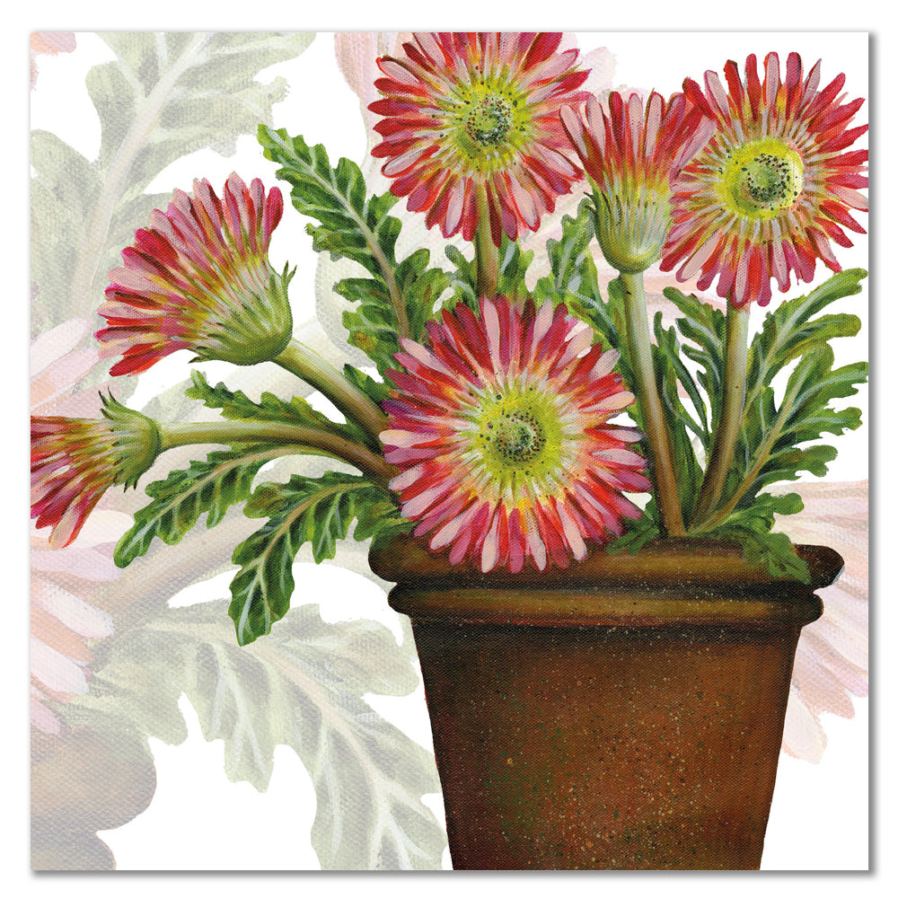 Gerbera card by Caroline Cleave – Atishoo Gallery